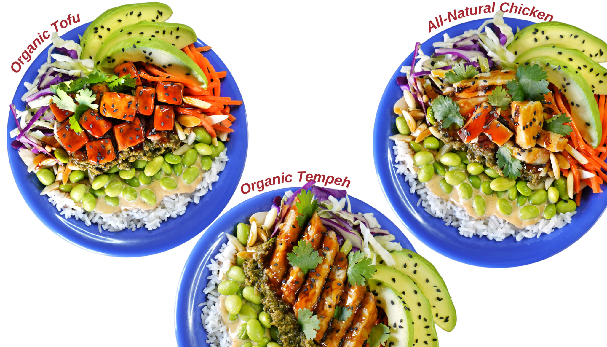 Try the New Spicy Teriyaki Yumm! Bowl® | Café Yumm!